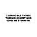 Philippians 4:13 Bumper Sticker Car Decal, Christian Bible Verse ...