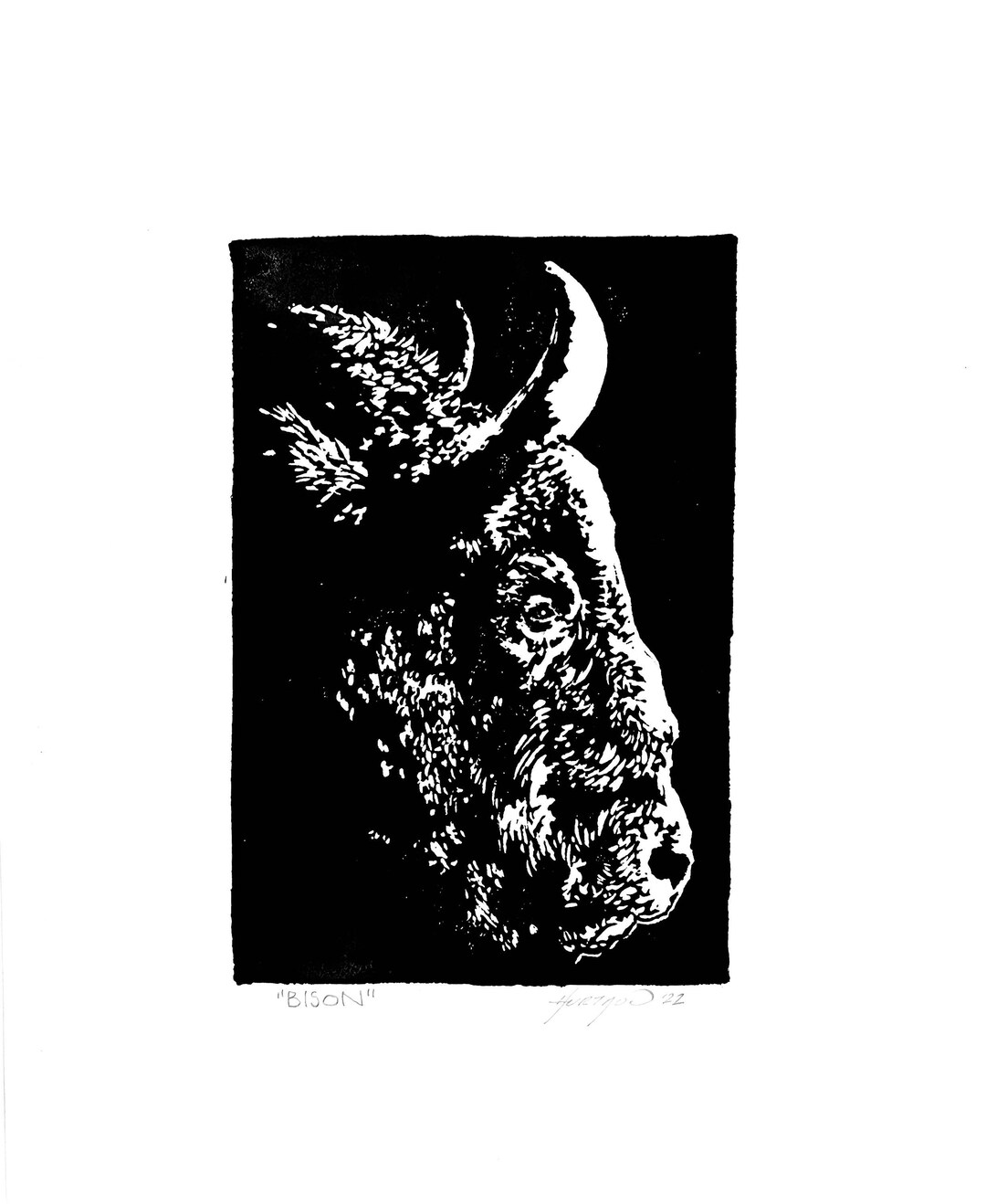 Bison - Original Artwork Linocut Print - Etsy