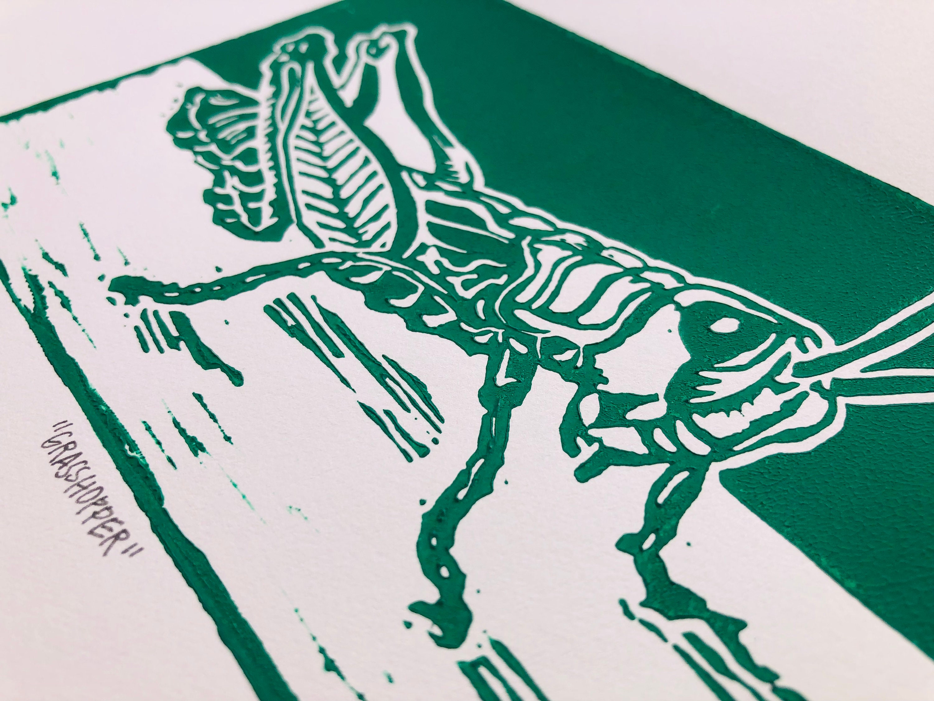 Grasshopper - Original Artwork Linocut Print - Etsy