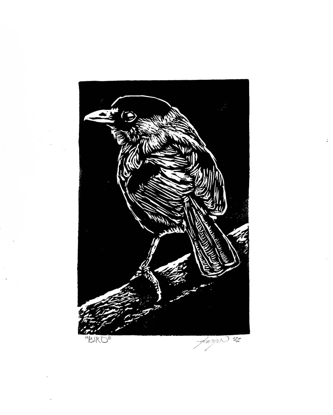 Bird - Original Artwork Linocut Print - Etsy