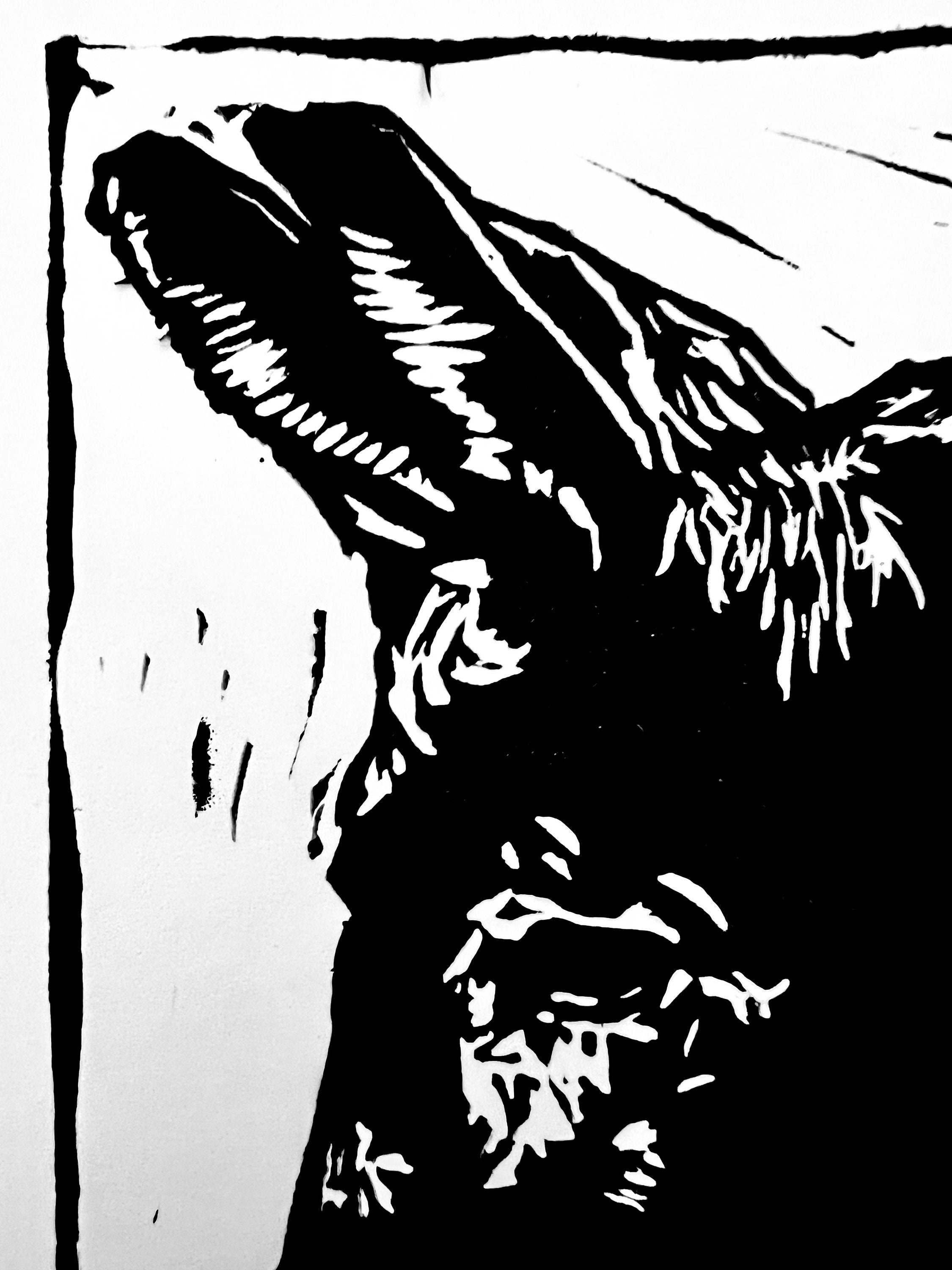 Donkey - Original Artwork Linocut Print - Etsy