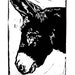 Donkey - Original Artwork Linocut Print - Etsy