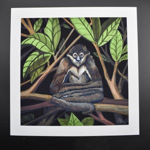 Spider Monkey Art Print, House Warming Gift, Bedroom, Bathroom, Living ...