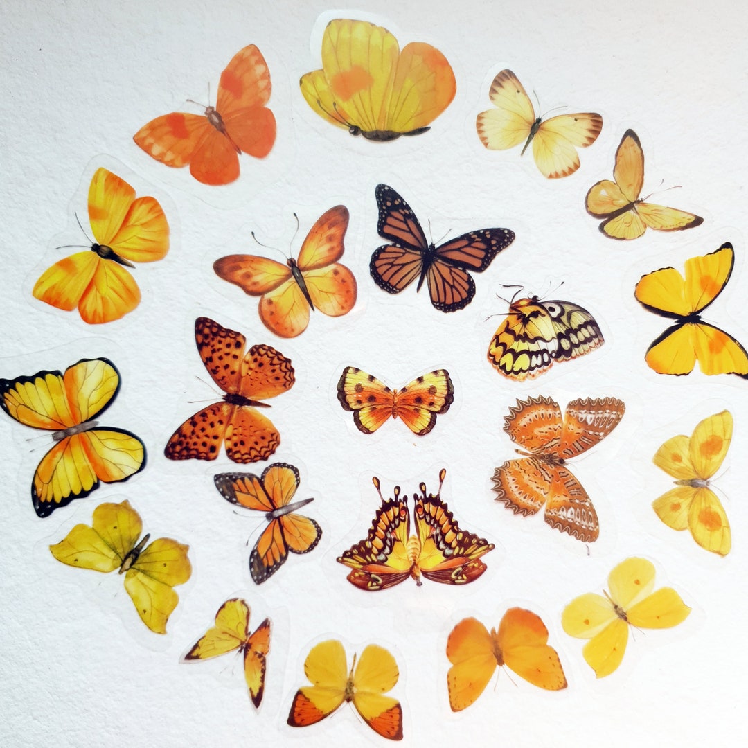 Cute Butterfly Sticker Pack, Set of 40 Transparent Butterflies for a ...