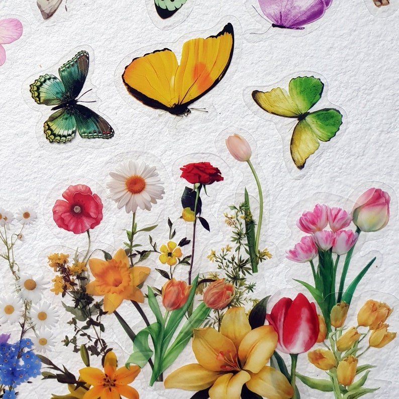 Flower and Butterfly Sticker Pack, Set of 50 Transparent Realistic Wild ...