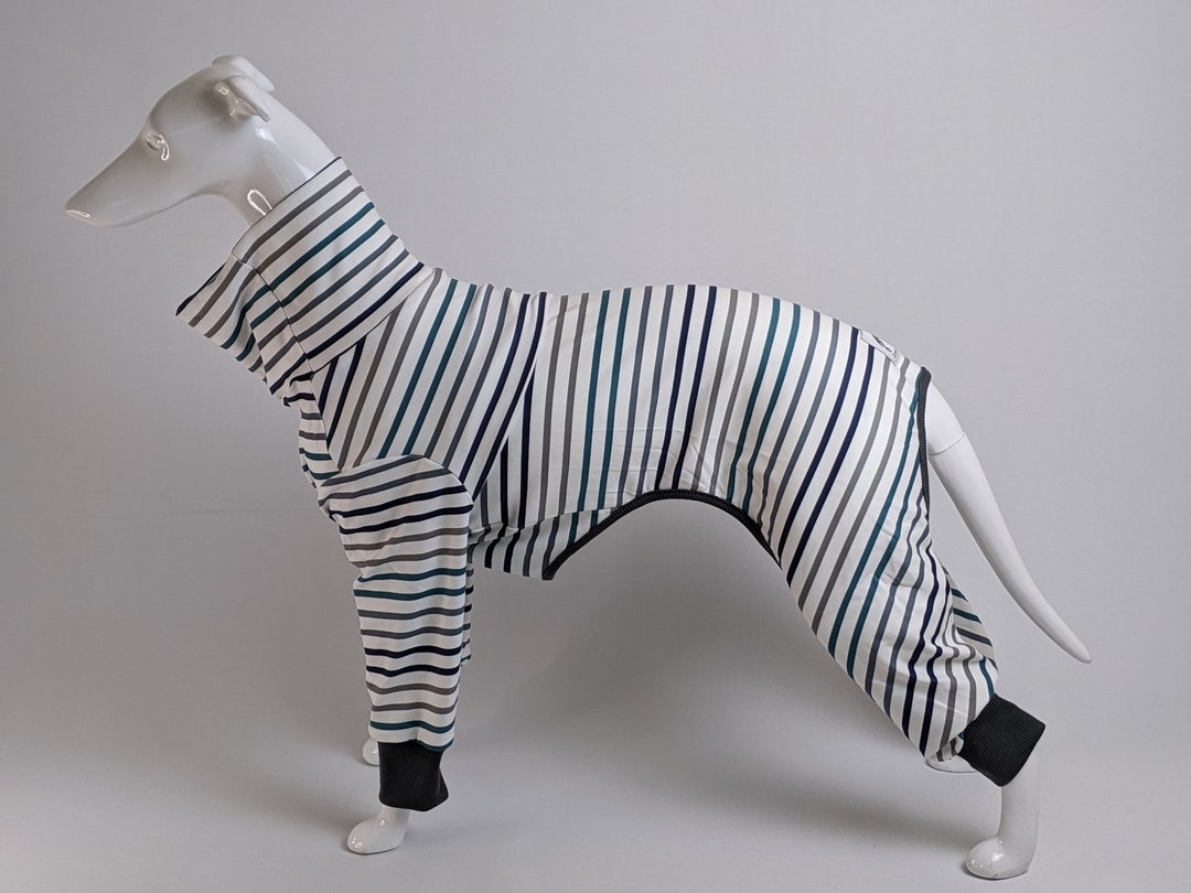 Soft Stretch Greyhound, Whippet & Sighthounds 4 Legged Pyjamas / Jumper ...