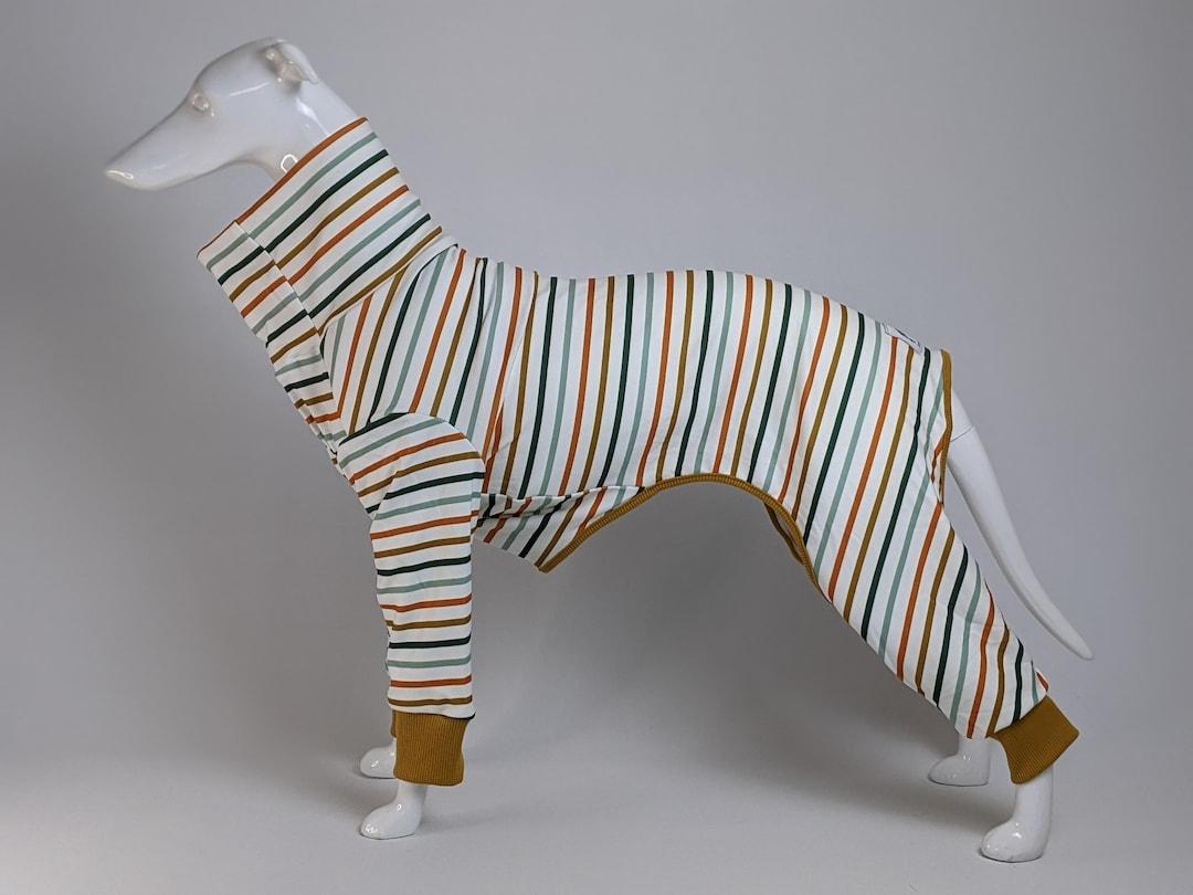 Soft Stretch Greyhound, Whippet & Sighthounds 4 Legged Pyjamas / Jumper ...