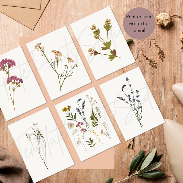 Postcard Size Botanical Prints - Etsy