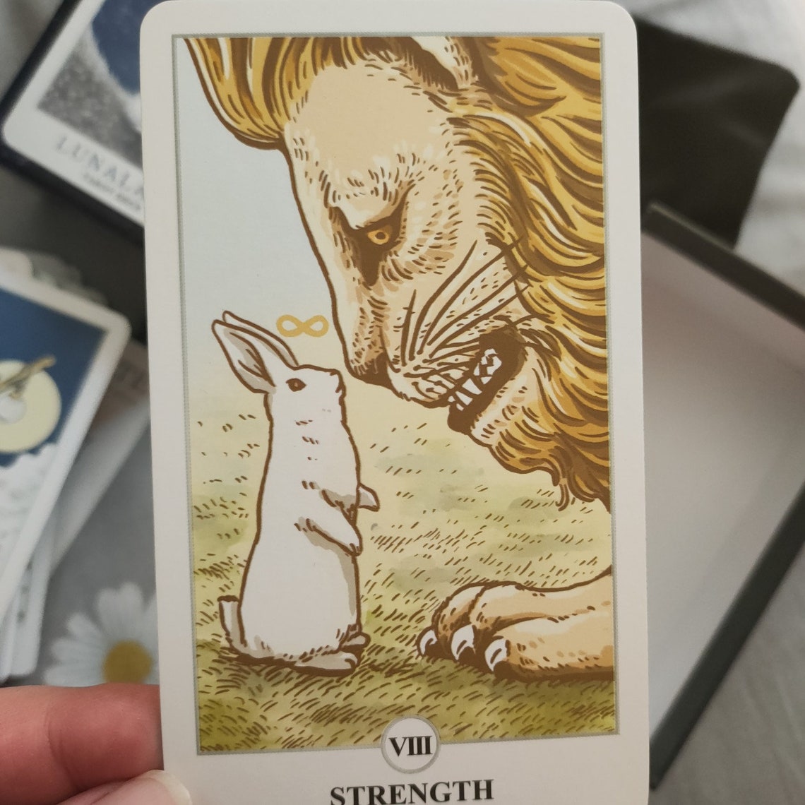 Lunalapin Tarotcute Rabbit Tarotthai Tarottarot Basic | Etsy