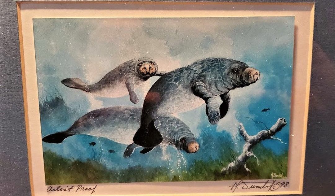 The Manatees 3 by Marine Artist Alan David Sundal Artist Proof 1998 ...