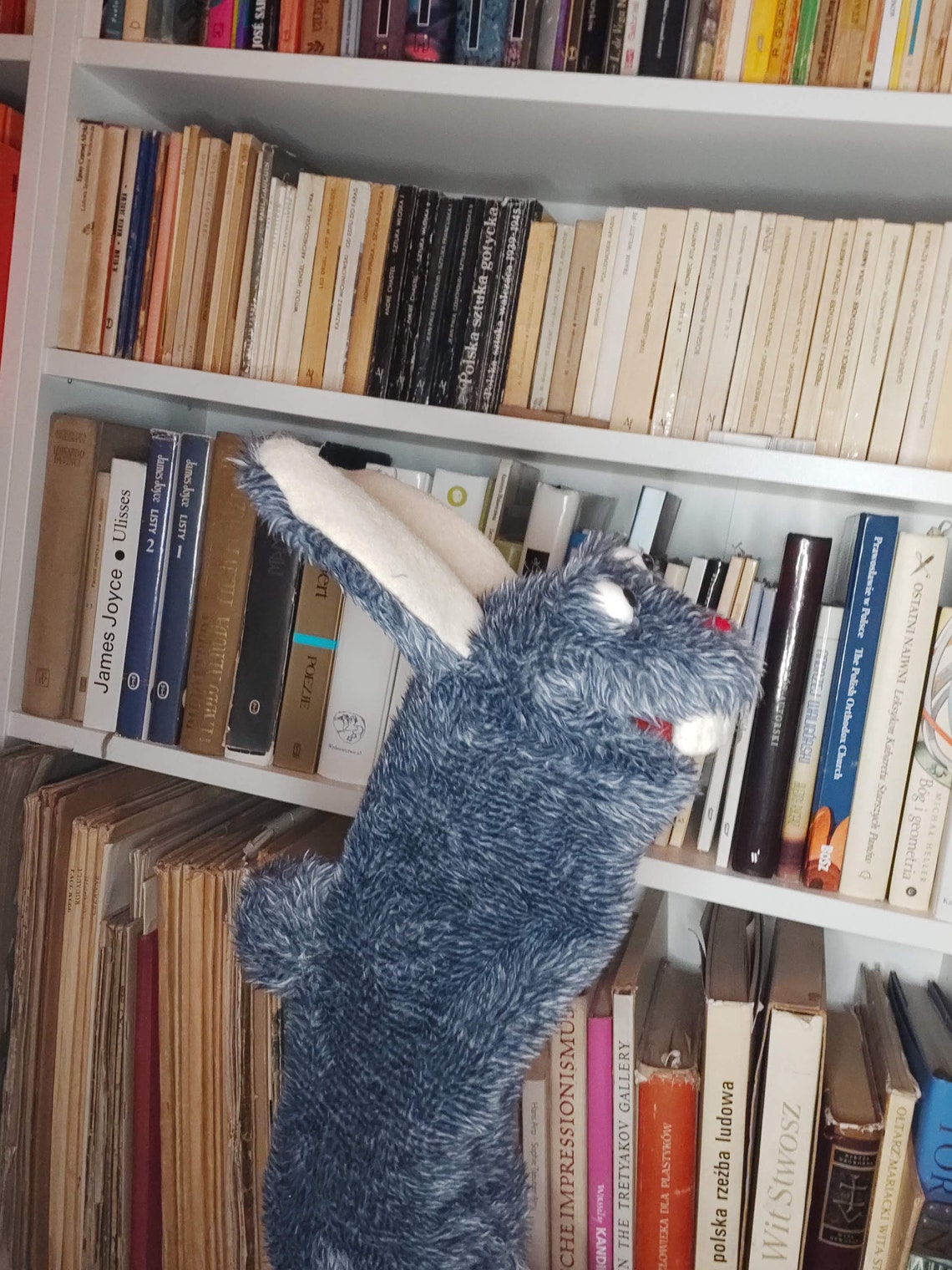 Henry the Rabbit Hand Puppet Muppet Style Therapeutic | Etsy