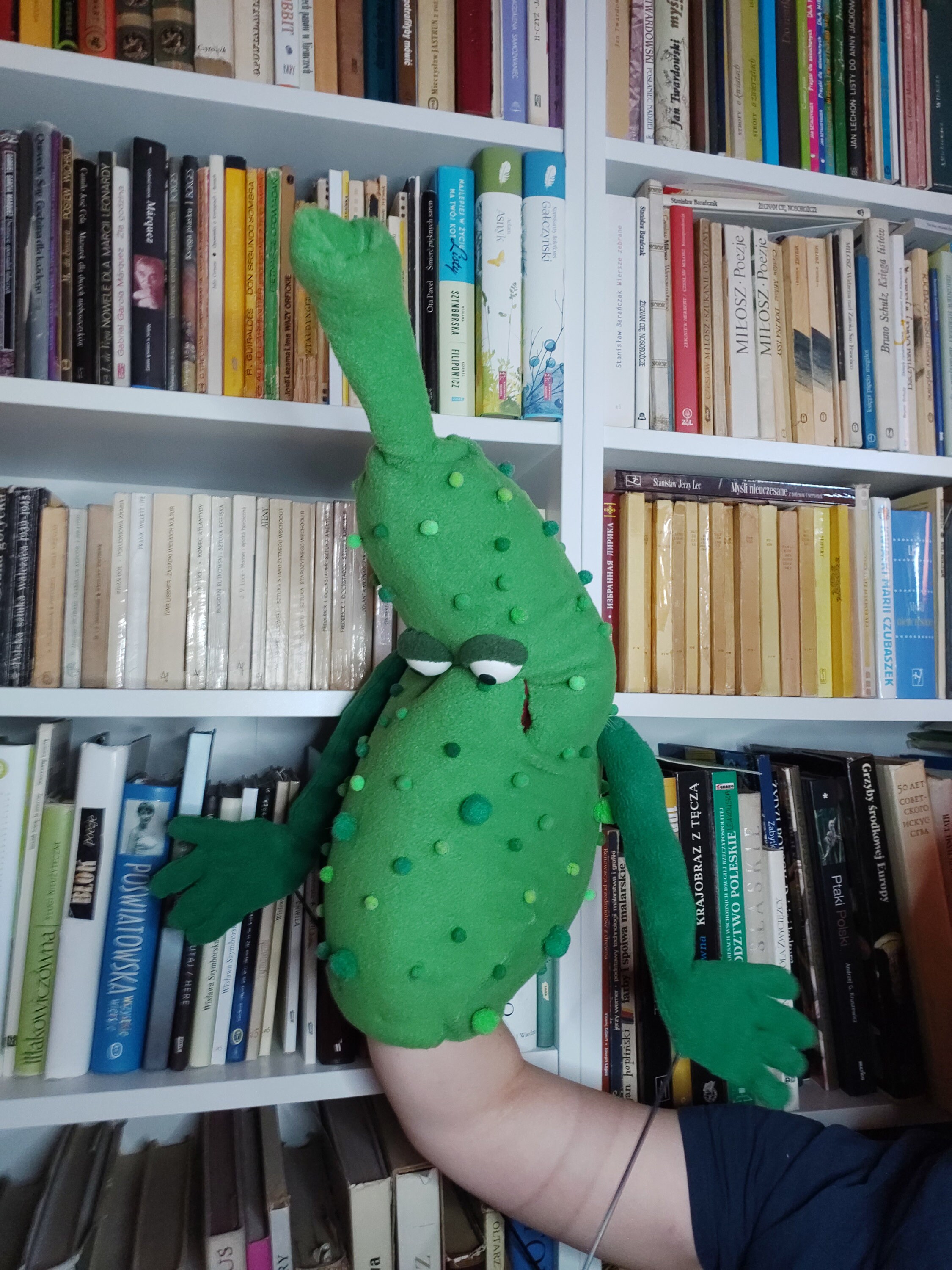 Gherkin Cucumber Puppet Muppet Style Healthy Food Education for Kids - Etsy