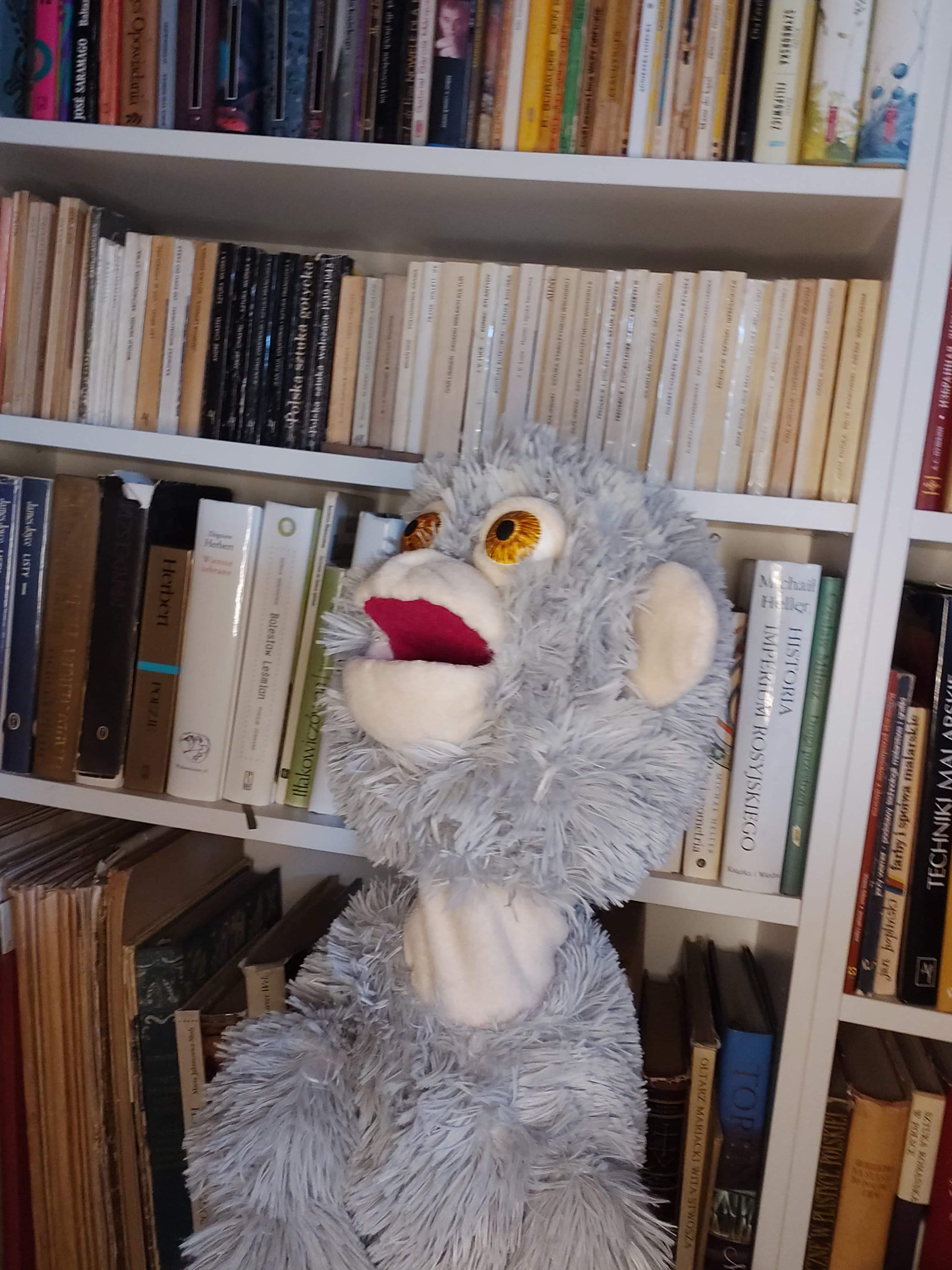 Kiki the Monkey - Muppet Style Puppet - Ventlioquist - Therapeutic ...