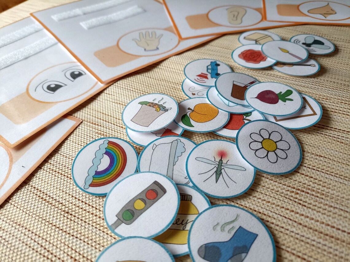 Five Senses Sorting Game, What Do You See, Smell, Taste, Hear and Touch ...