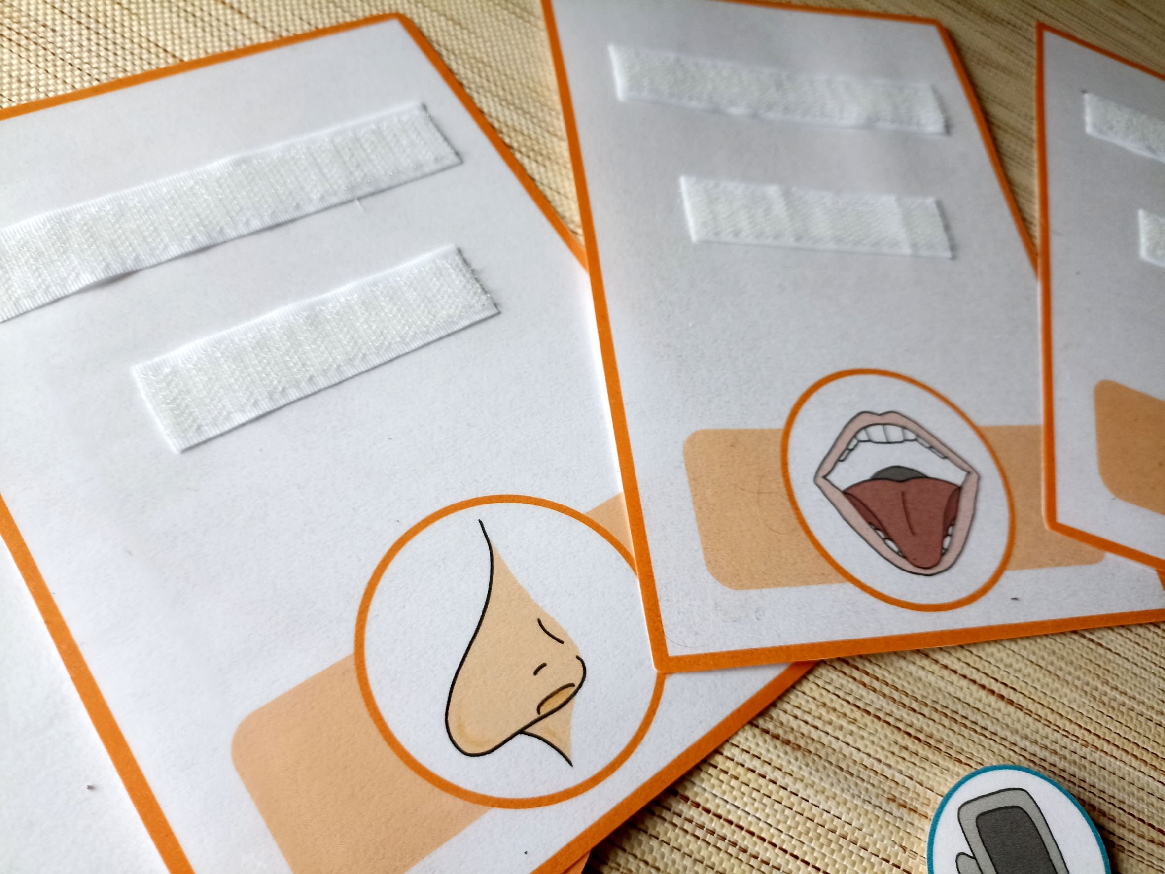 Five Senses Sorting Game, What Do You See, Smell, Taste, Hear and Touch ...