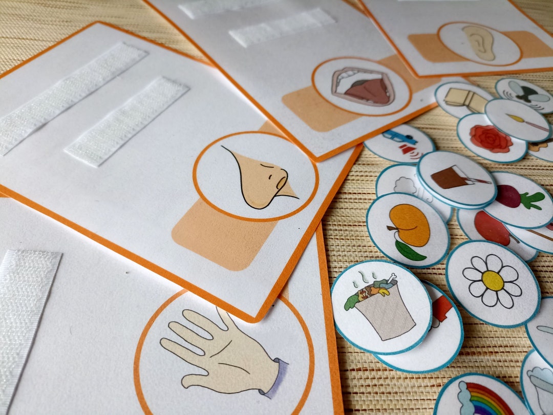 Five Senses Sorting Game, What Do You See, Smell, Taste, Hear and Touch ...
