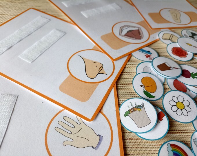 Five Senses Sorting Game, What Do You See, Smell, Taste, Hear and Touch ...