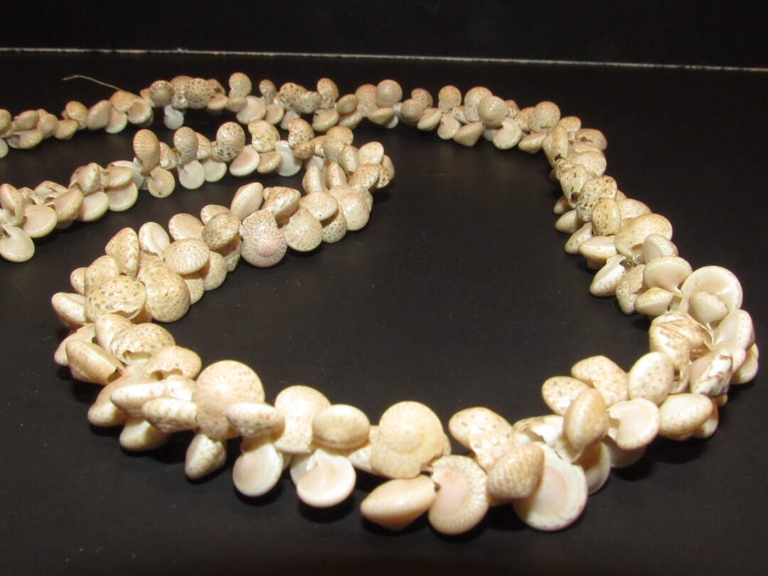 Umbonium Sea Snail Shell Necklace Shell Lei Necklace, 33 Long - Etsy