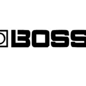 Boss Logo Vinyl Decal - Etsy