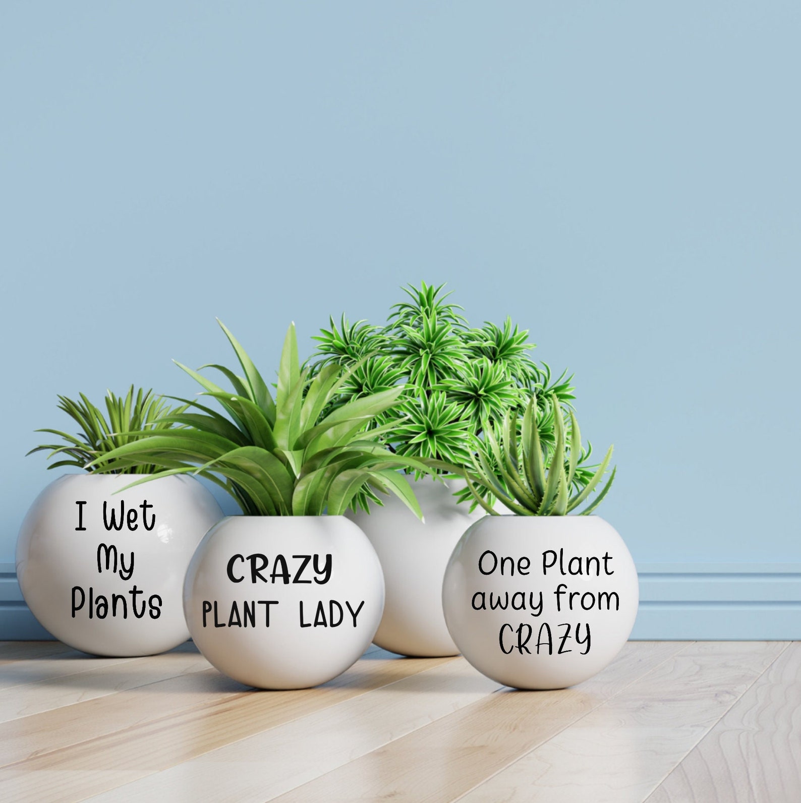 Funny Plant Quotes SVG Bundle: Planter Pot Decals (digital Download) - Etsy
