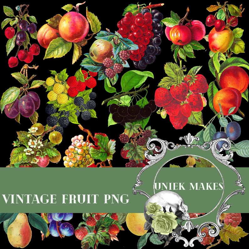 20 Vintage Fruits Clipart - Fruits Clipart - Nostalgie Clipart ...