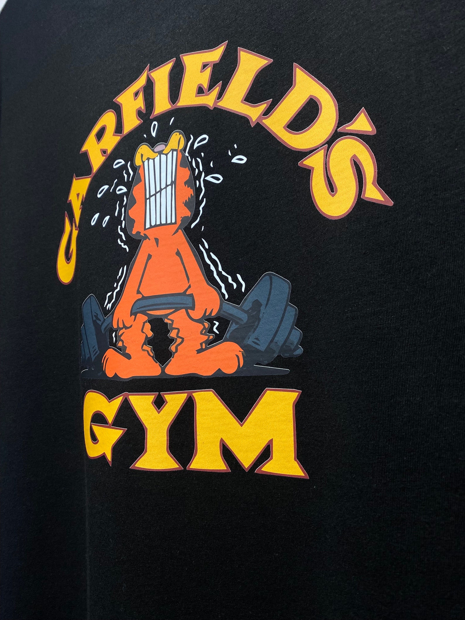 Garfield T-shirt Garfield Gym Tshirt Cartoon Gym T-shirt Workout T ...
