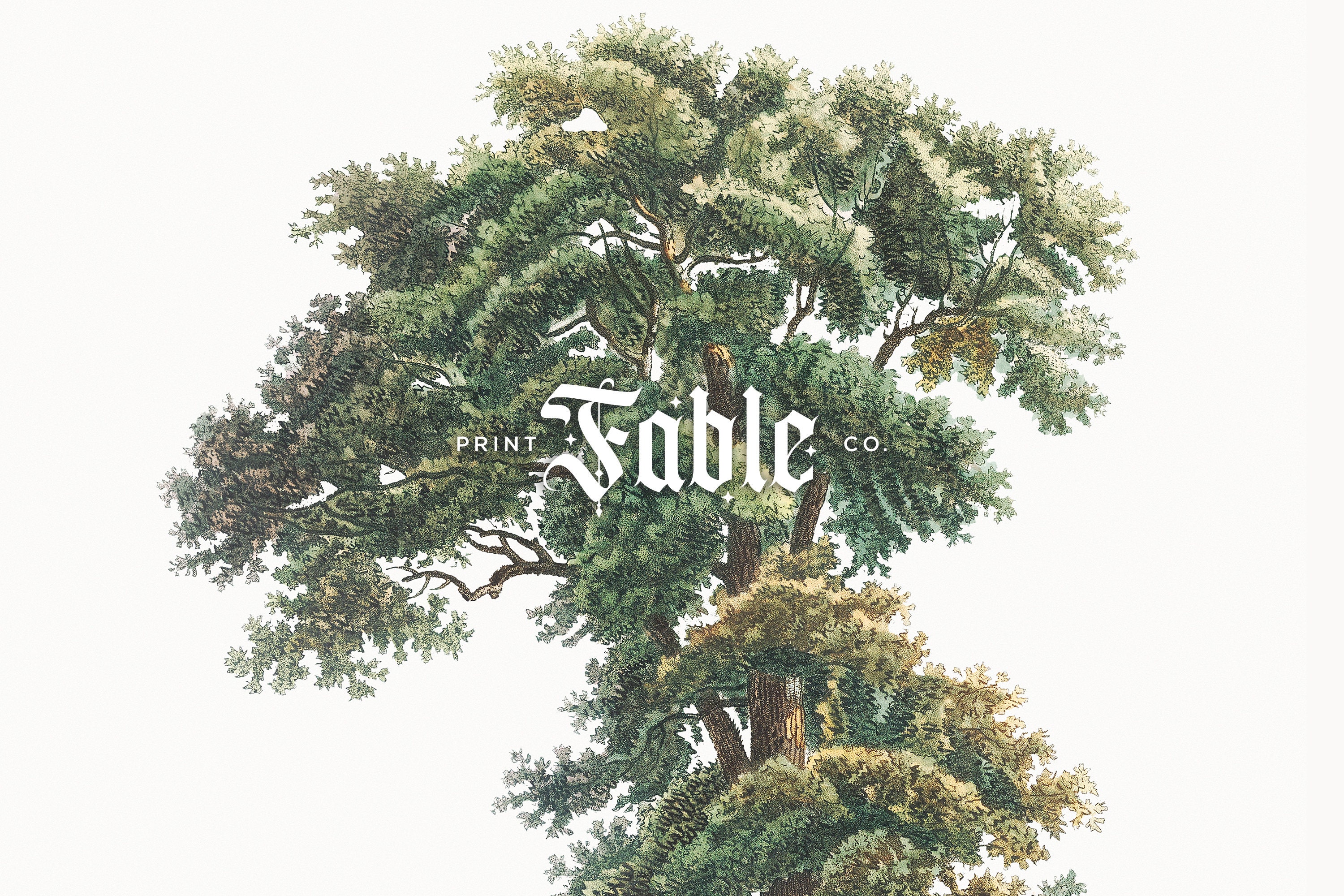 The Mighty Tree Vintage Tree Illustration Printable Art Digital ...