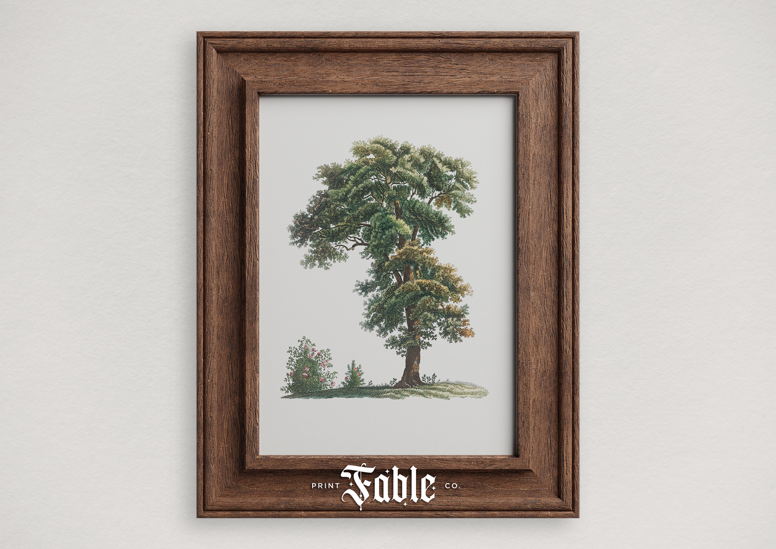 The Mighty Tree | Vintage Tree Illustration | Printable Art | Digital ...