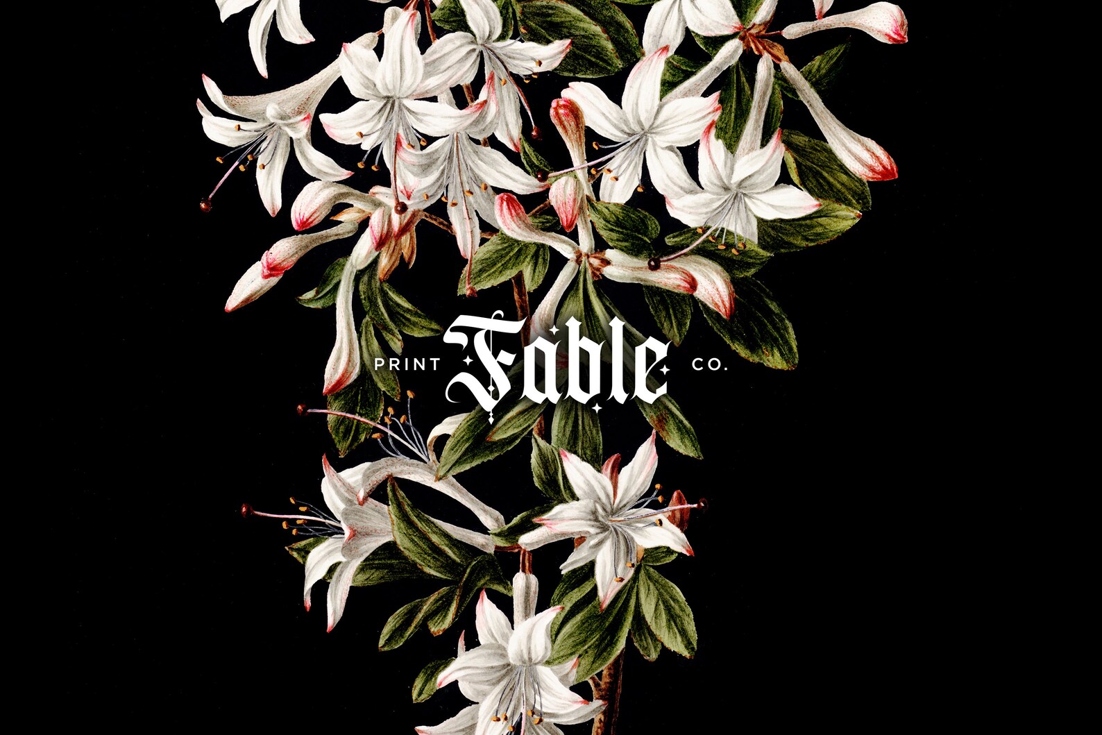 Lilies Set of 2 Illustrations | Vintage Dark Botanical Prints ...
