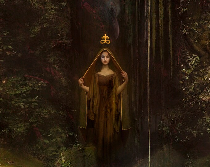 Hamadryad by Sam Araya Giclee Art Print - Etsy