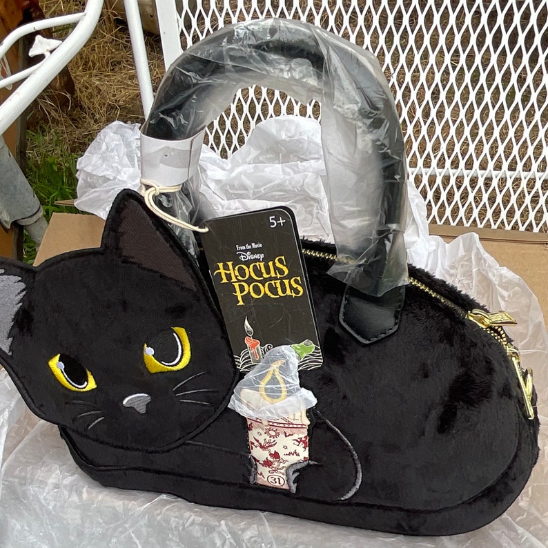 Loungefly Hocus Pocus BINX Crossbody - Etsy