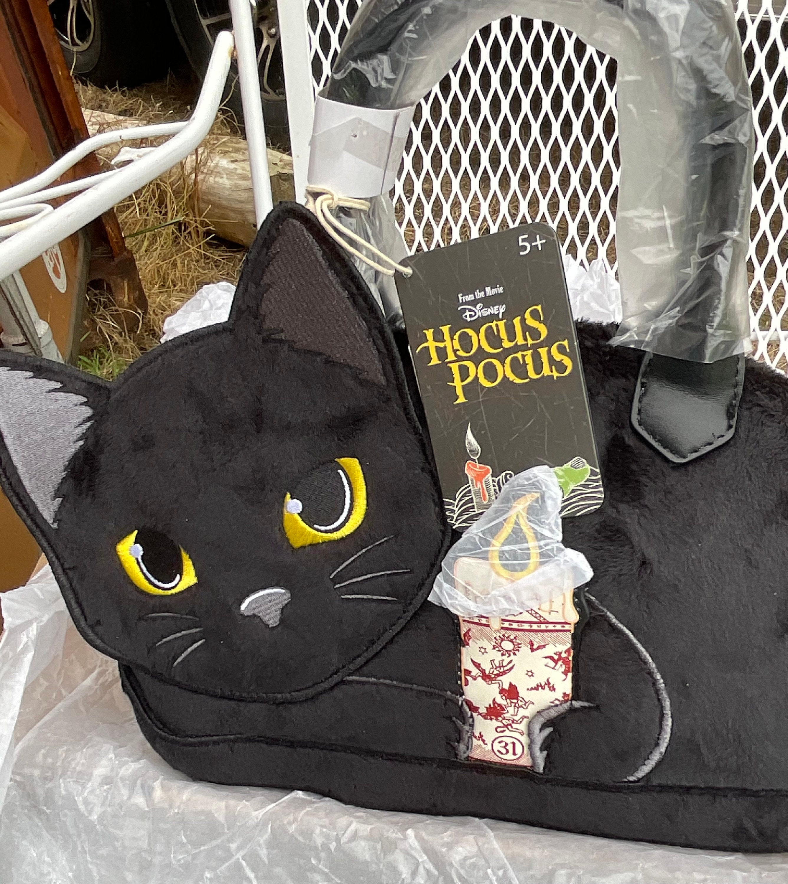 Loungefly Hocus Pocus BINX Crossbody - Etsy