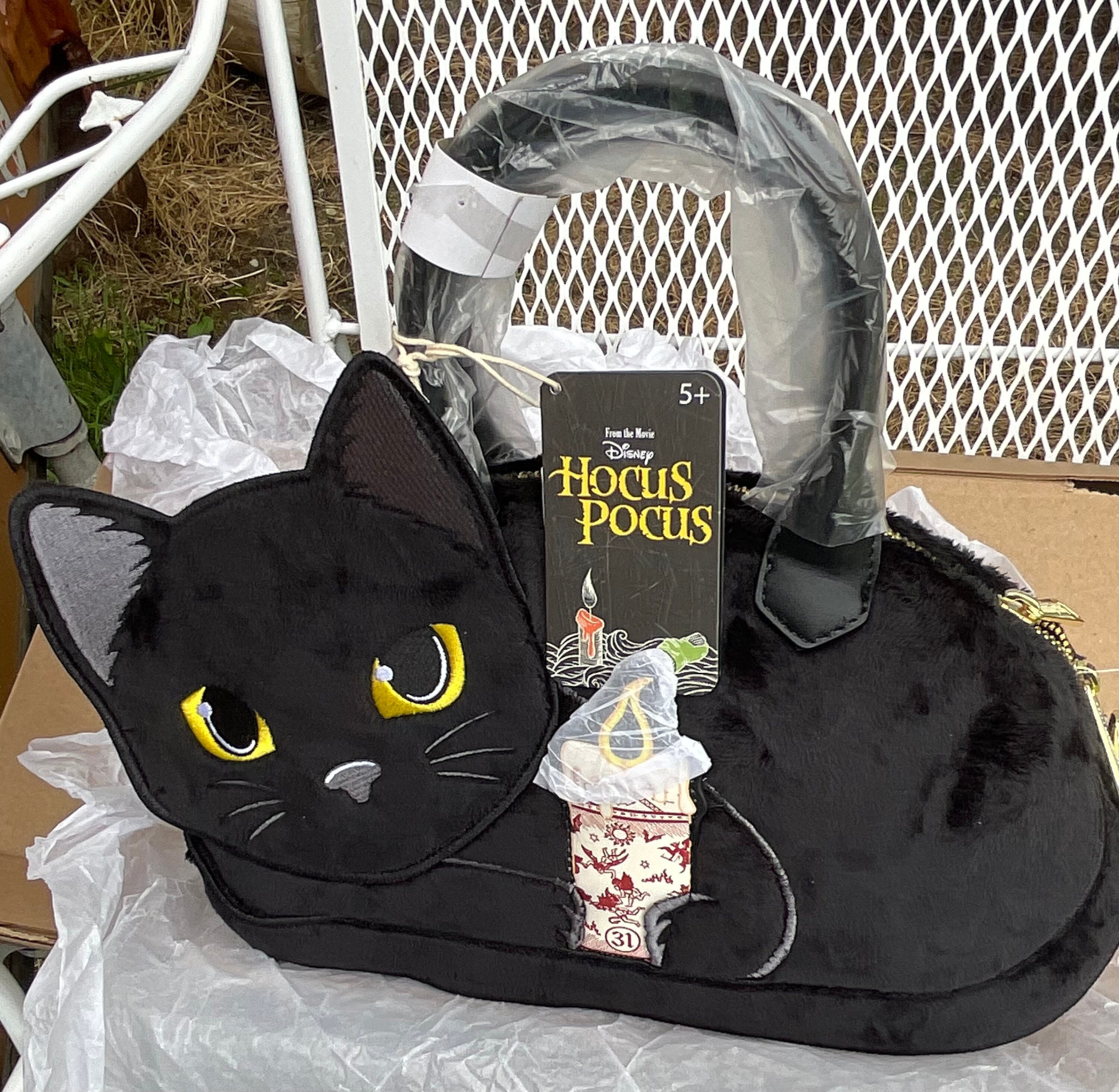 Loungefly Hocus Pocus BINX Crossbody - Etsy