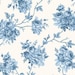 American Beauty Climbing Rose Blue by Robyn Pandolph Saxty for Maywood ...