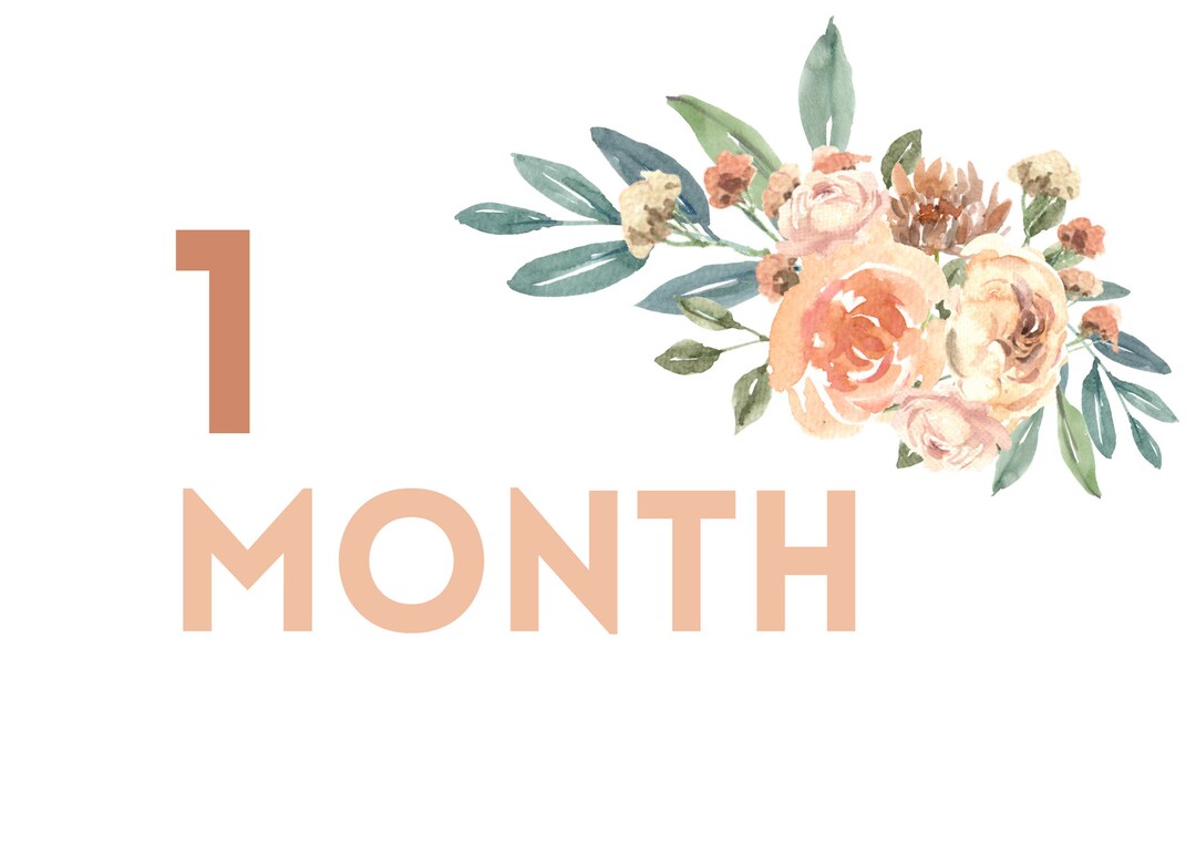 DIGITAL DOWNLOAD • Printable Monthly Milestone Cards • Babyshower Gift ...