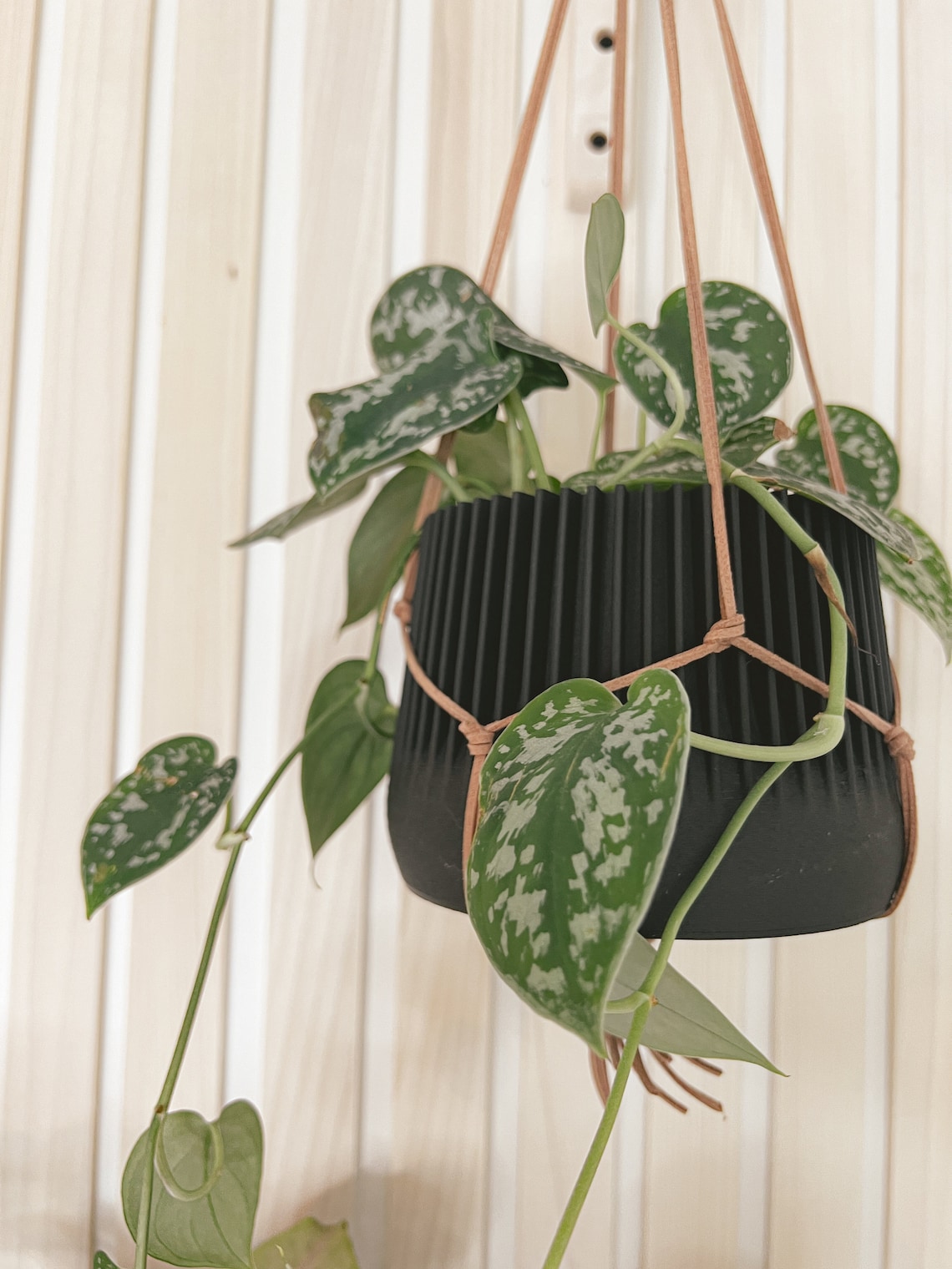 Indoor Planter the Peaceful 3D Printed Flower Pot for Plant Lovers - Etsy