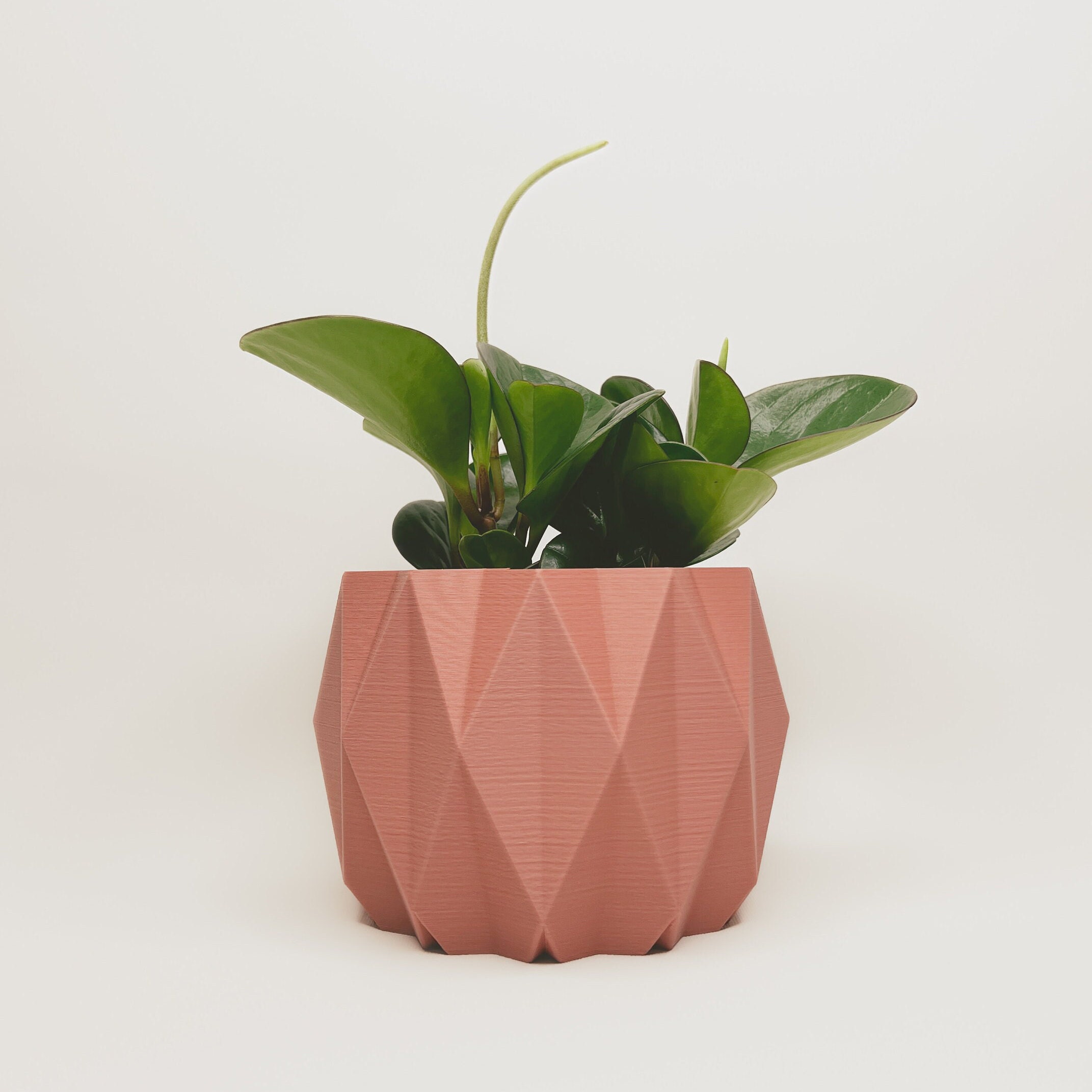 Indoor Planter the Stylish 3D Printed Flower Pot for Plant Lovers - Etsy