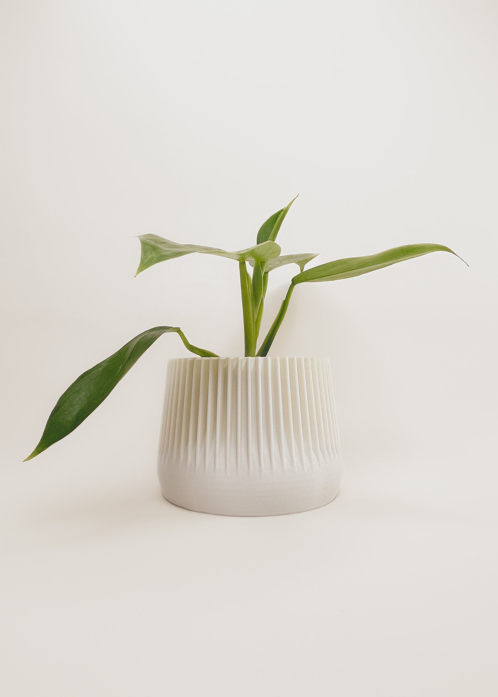 Indoor Planter the Peaceful 3D Printed Flower Pot for Plant Lovers - Etsy