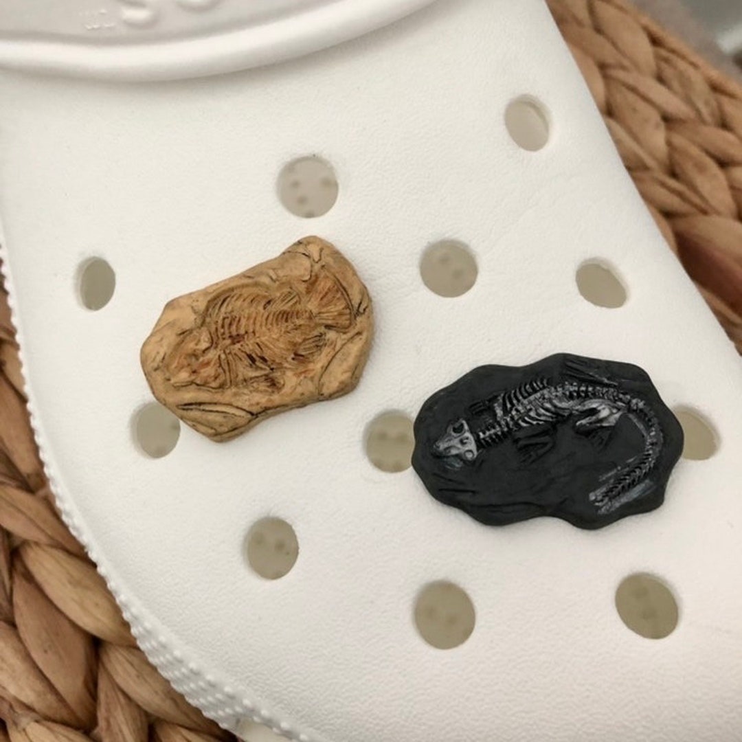 Dinosaur Fossils Croc Charms - Etsy