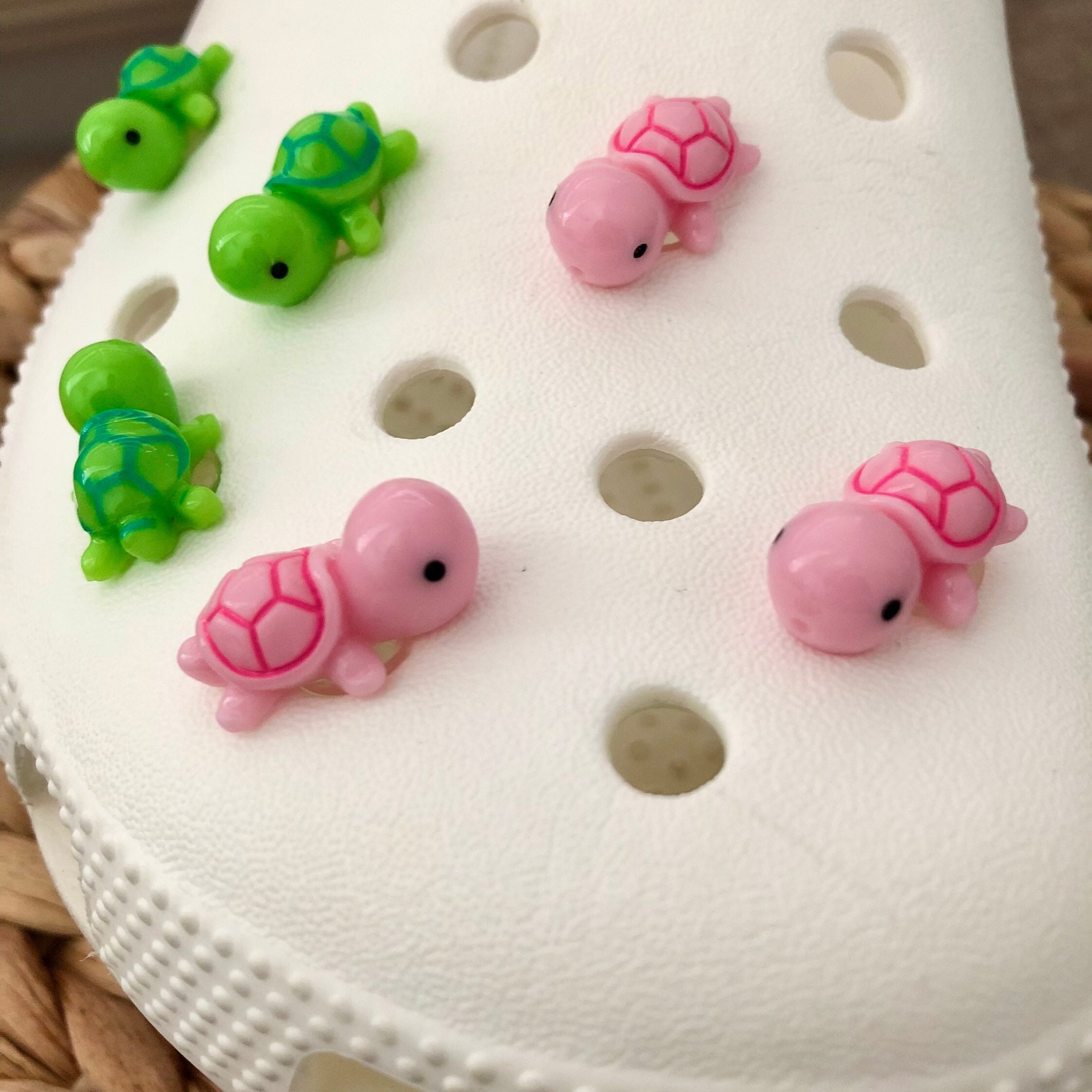 Baby Turtle Croc Charm - Etsy UK