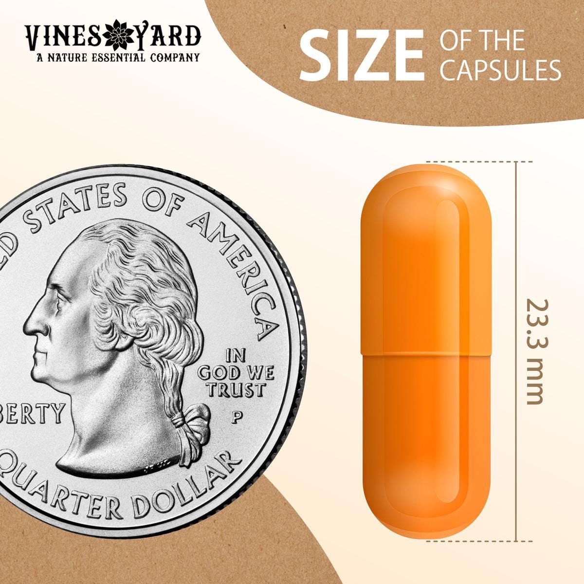 Plant Based Empty Capsules, Size 00, (1000 or 5000 Count), Vegan - Etsy