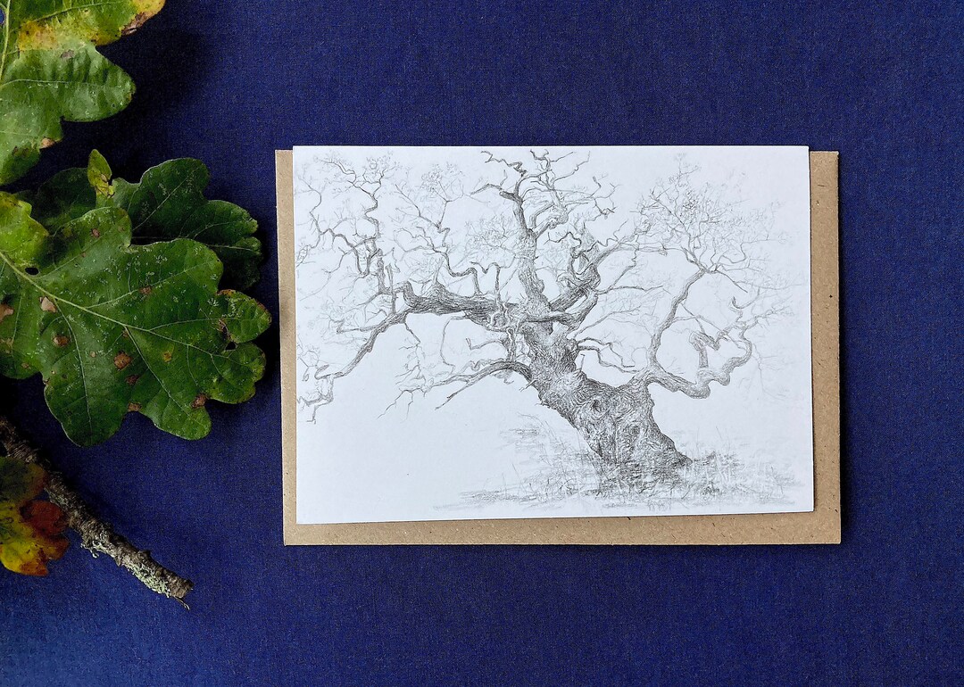 Oak Tree Greetings Card - Luxury Fine Art Card - Intricate Graphite ...