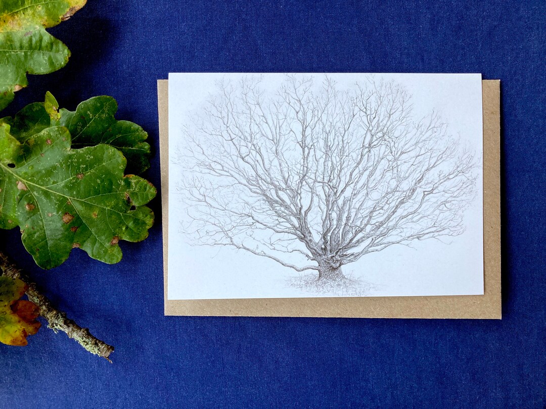 Oak Tree Greetings Card - Luxury Fine Art Card - Intricate Graphite ...