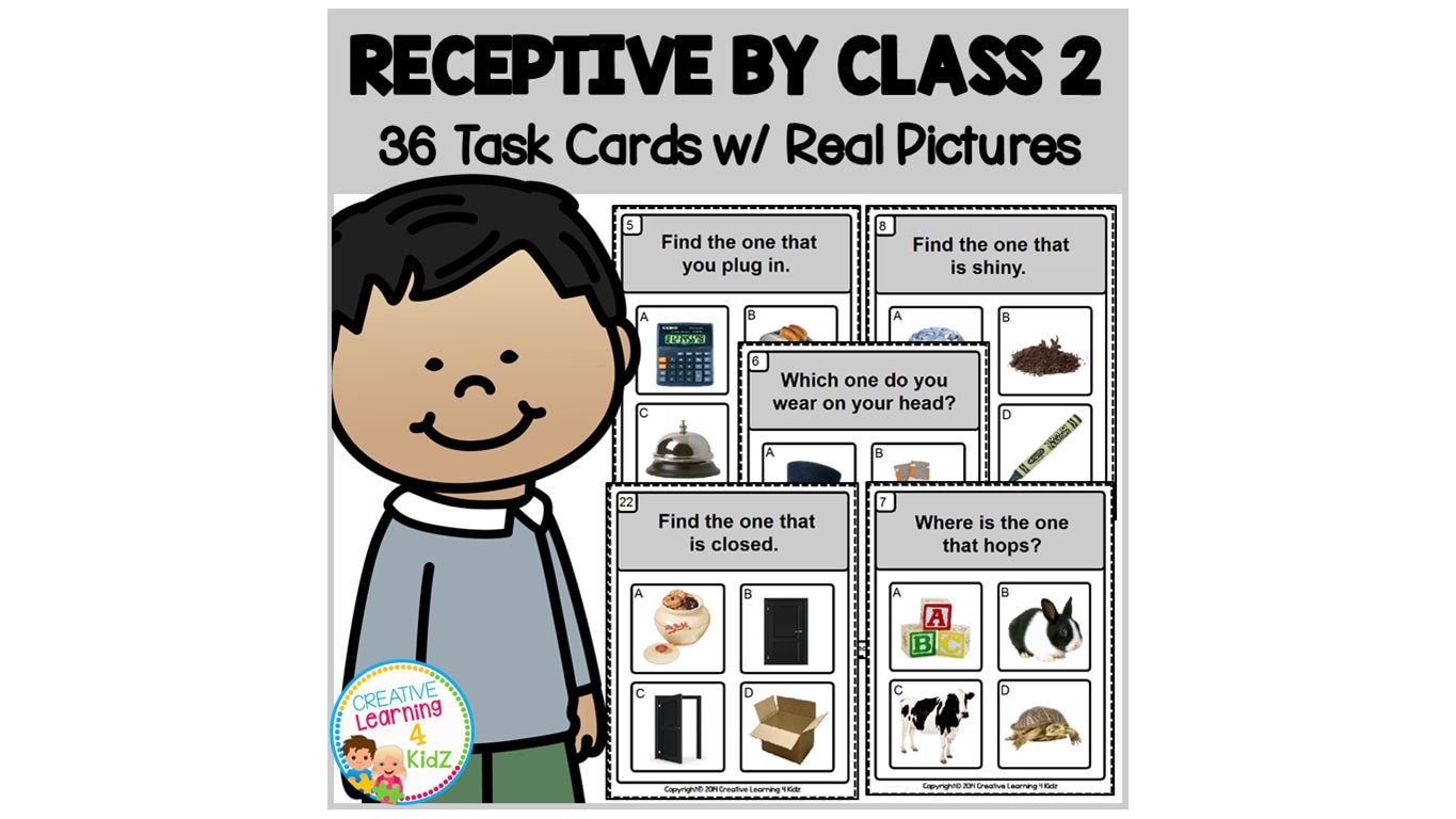 Receptive by Class 2 Task Cards ABA Special Education - Etsy