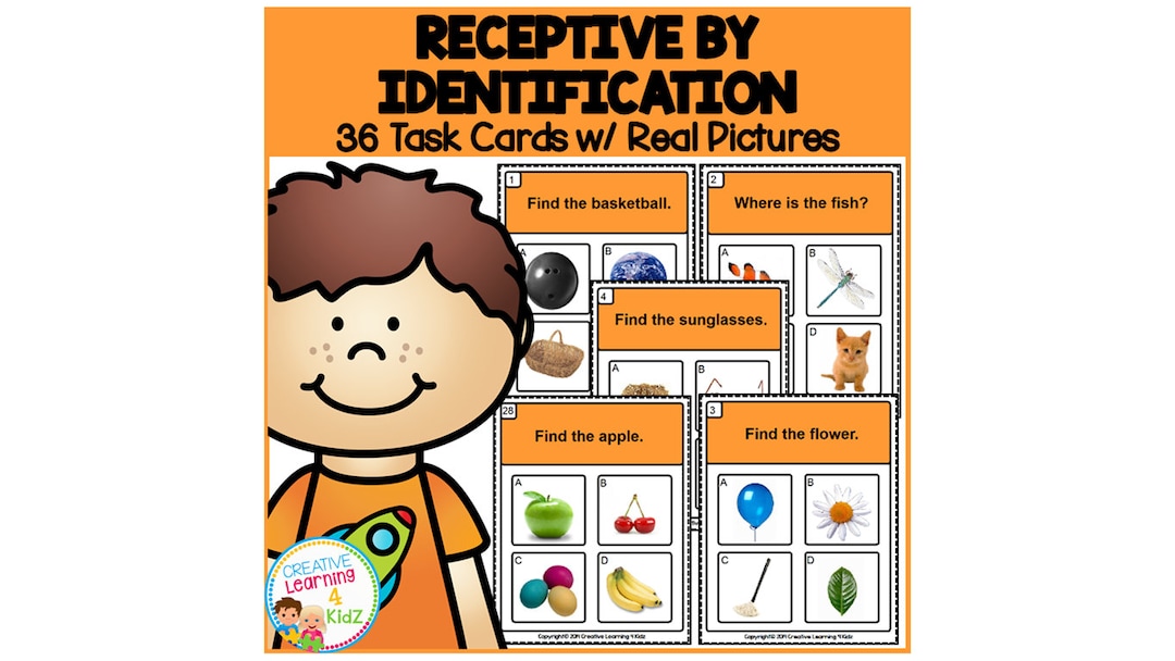 Receptive Identification 1 Task Cards ABA Special Education - Etsy