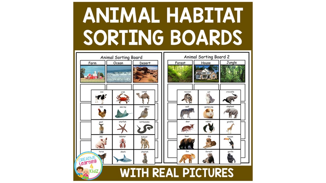 Animal Habitat Sorting Activity Real Photos Special Education Science ...