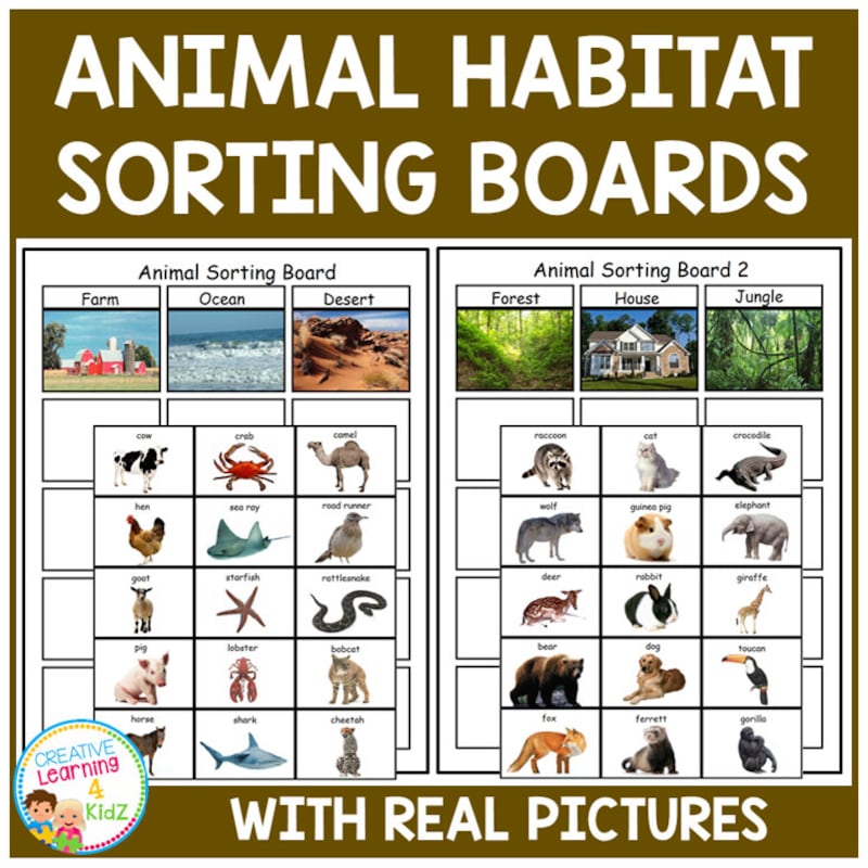 Animal Habitat Sorter - Etsy