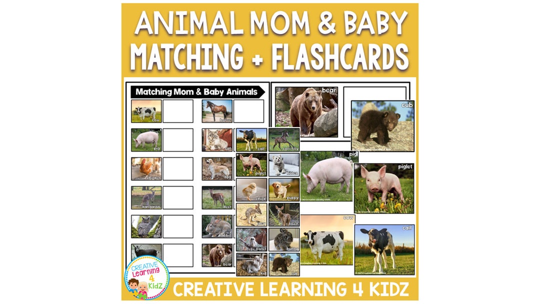 Animal Mom and Baby Matching Flashcards Special Education - Etsy