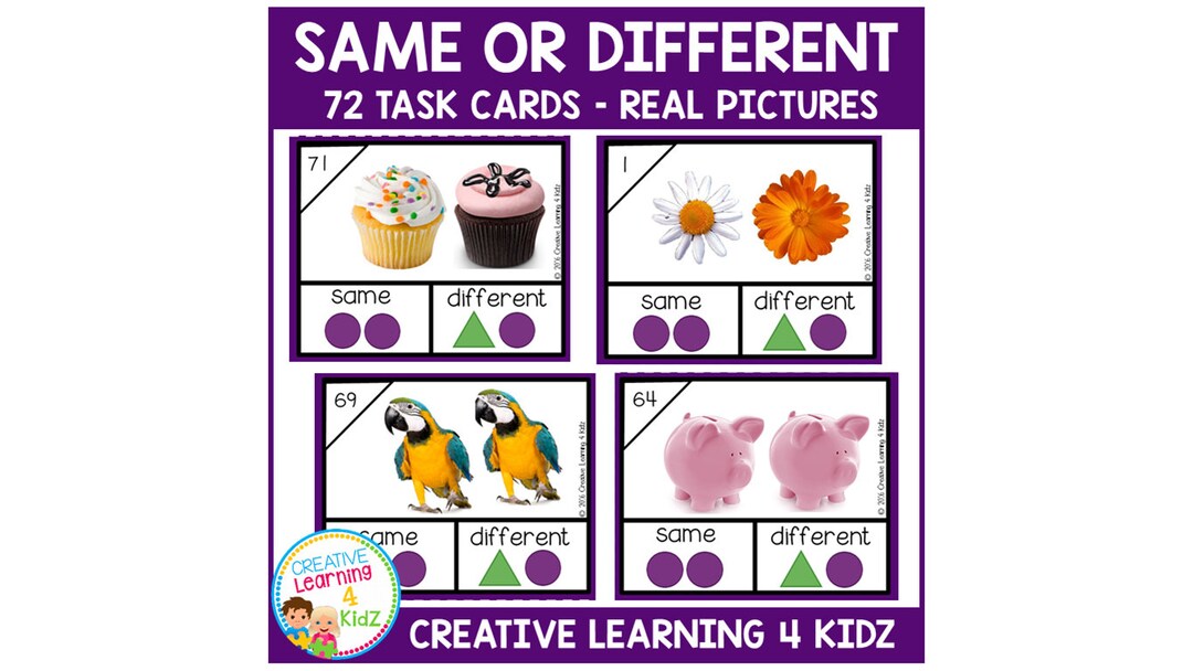 Same or Different Task Cards Real Pictures Special Education - Etsy