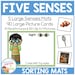 Five Senses Sorting Mats Interactive 5 Senses Activity for Kids - Etsy
